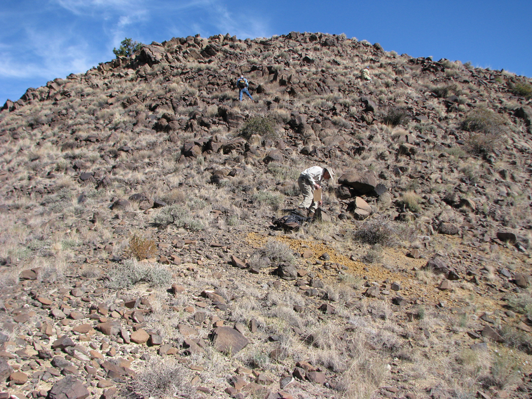 blm rock art 09 – abqarchaeology